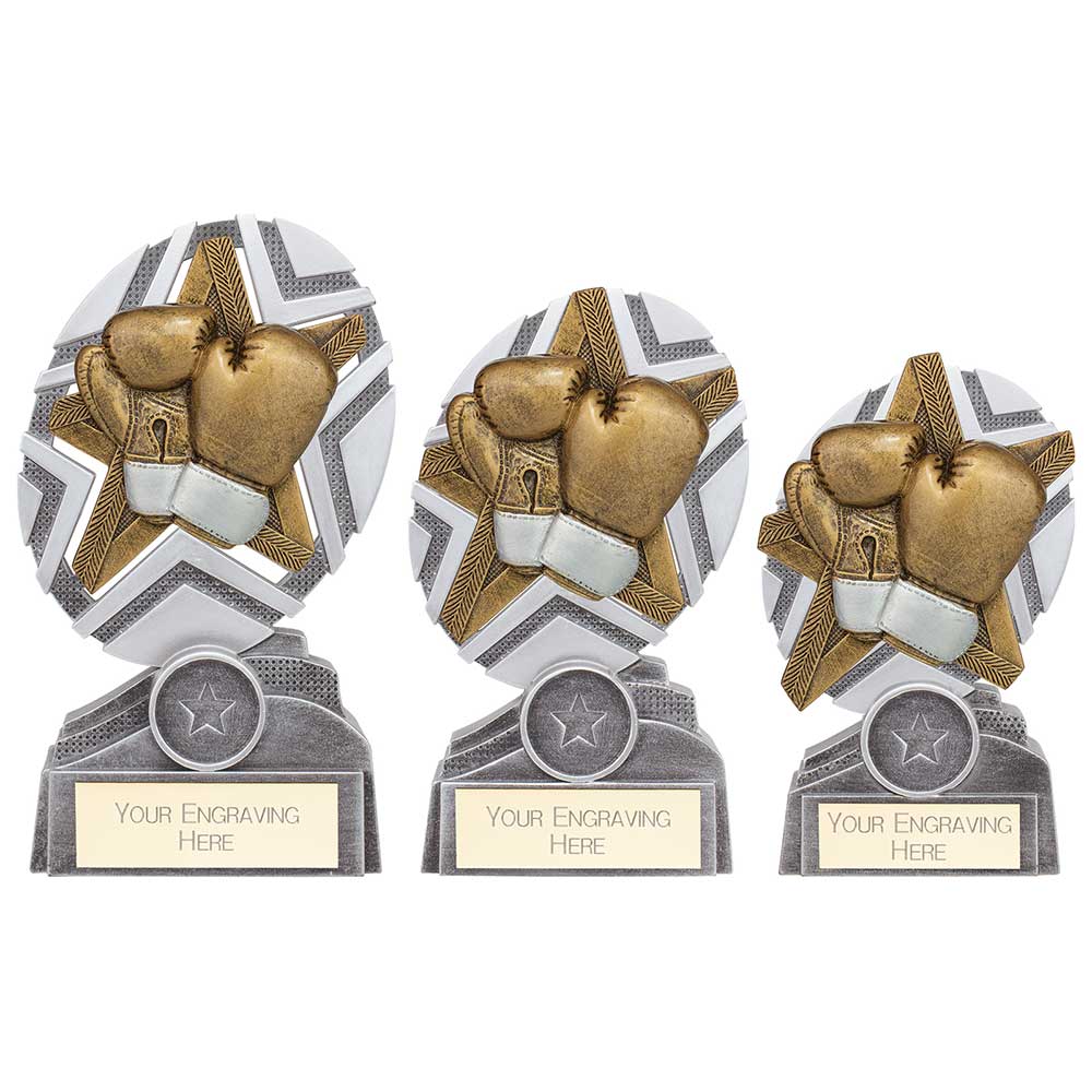 The Stars Boxing Plaque Award — Empire Medals