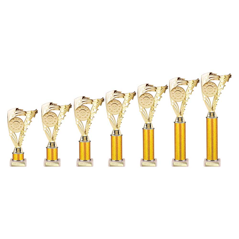 Frenzy Multisport Tube Trophy Gold — Empire Medals