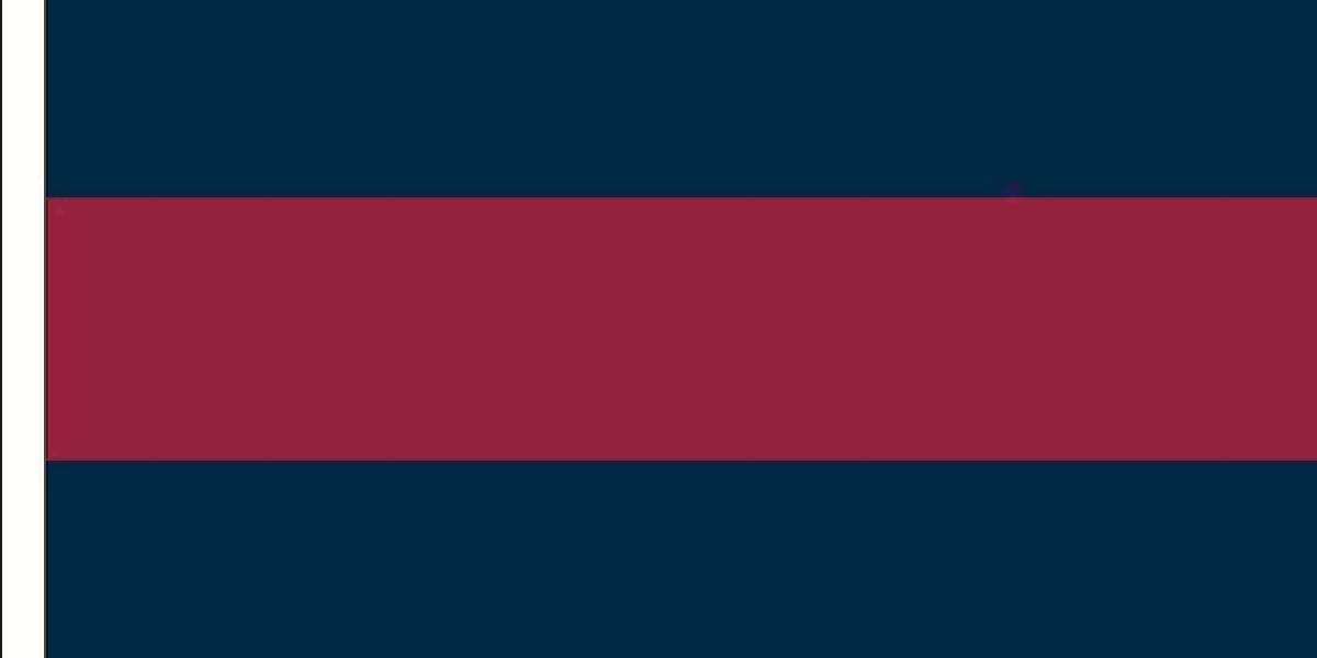 Household Division Flag — Empire Medals